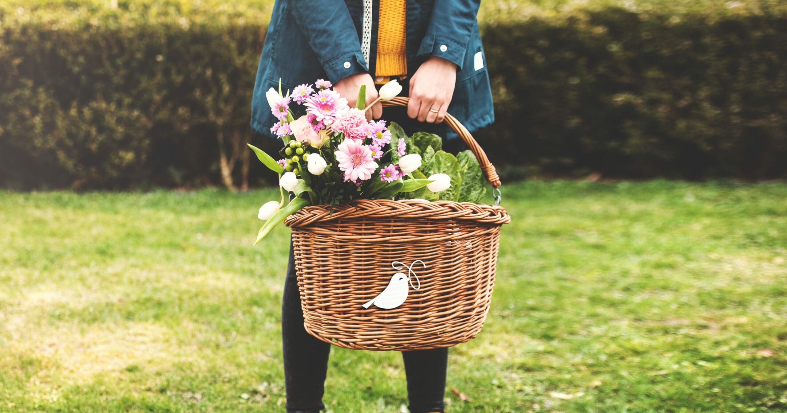 Story of the Bluebird - Bluebird Refuge