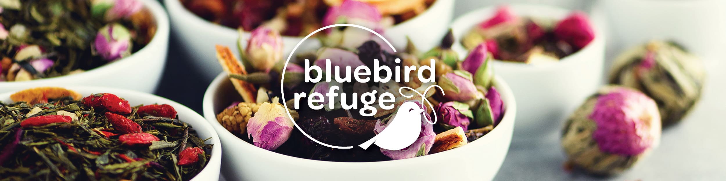 Bluebird Refuge - Awakening hope & joy - Bluebird Refuge